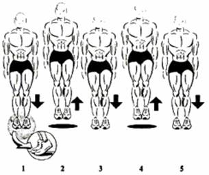 Air Alert III Workout Chart - LEAP UPS without the rope, CALF RAISES